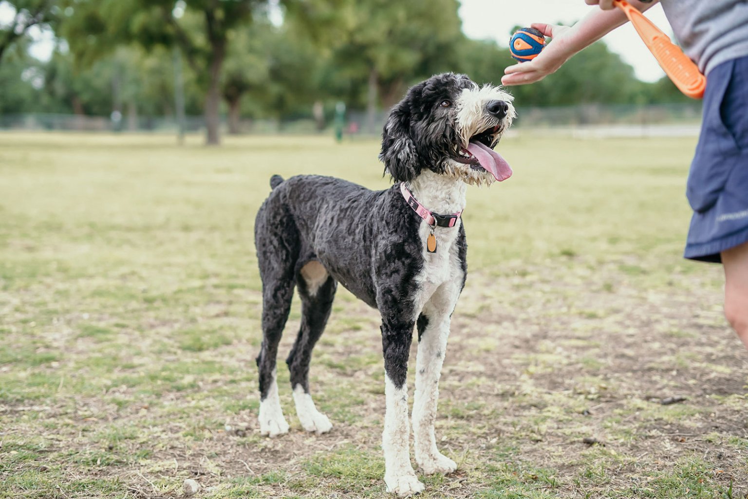 The Betenbough Companies' Story - LubbockEDA